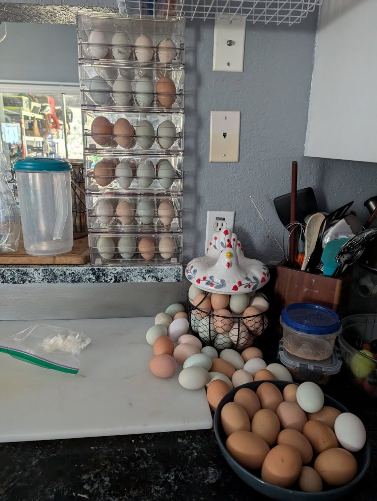 The Ultimate Guide to Storing and Managing Farm Fresh Eggs - Bystander Farm